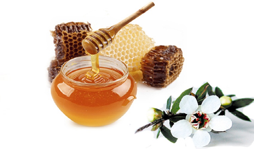 Mật ong Manuka – món quà quý từ thiên nhiên