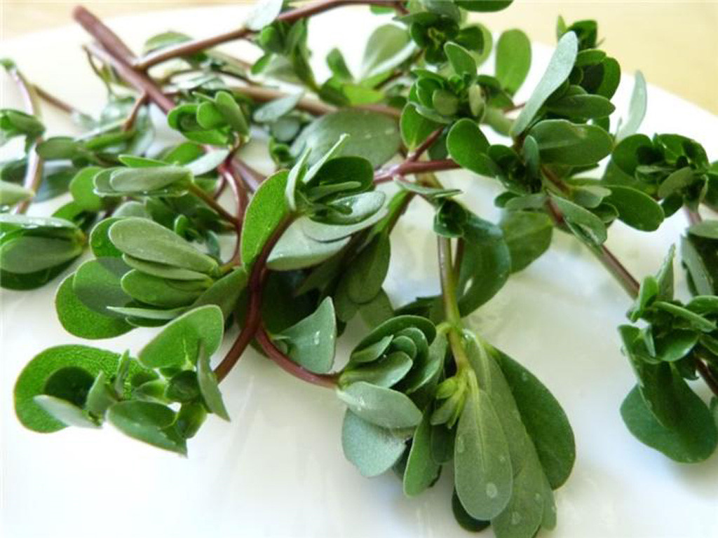 Da sáng mịn và trẻ đẹp nhờ mặt nạ rau sam