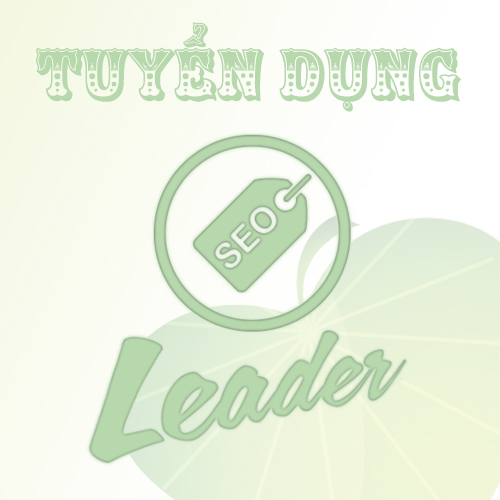 Tuyển dụng vị trí SEO Leader - Lương hấp dẫn