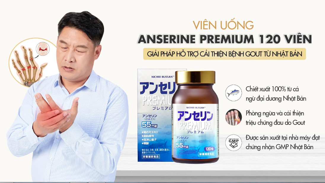Thực phẩm bảo vệ sức khỏe Anserine Premium